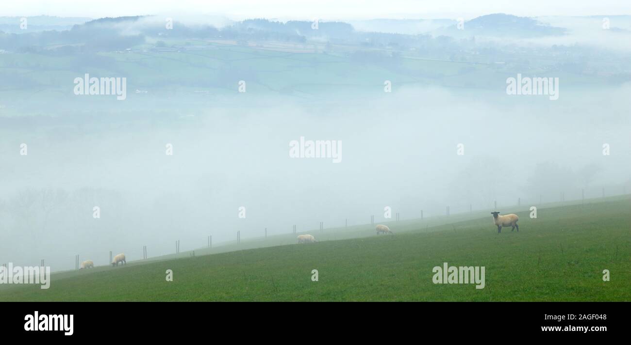 Foggy morning in Axe Valley, East Devon seen from Musbury Hill Stock ...