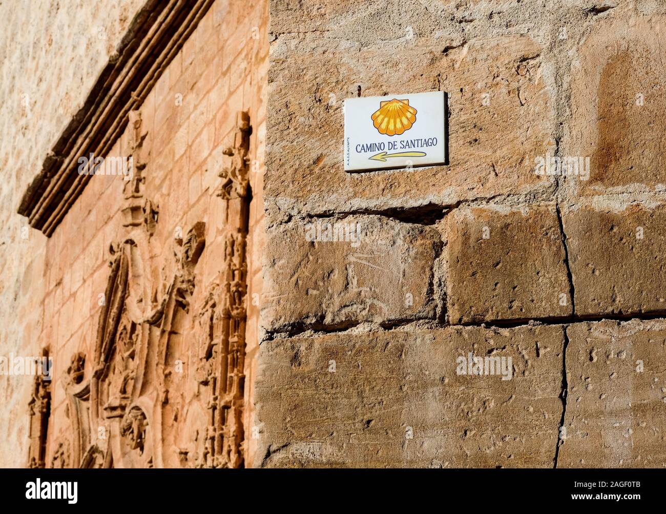 Jacobs mussel hi-res stock photography and images - Alamy