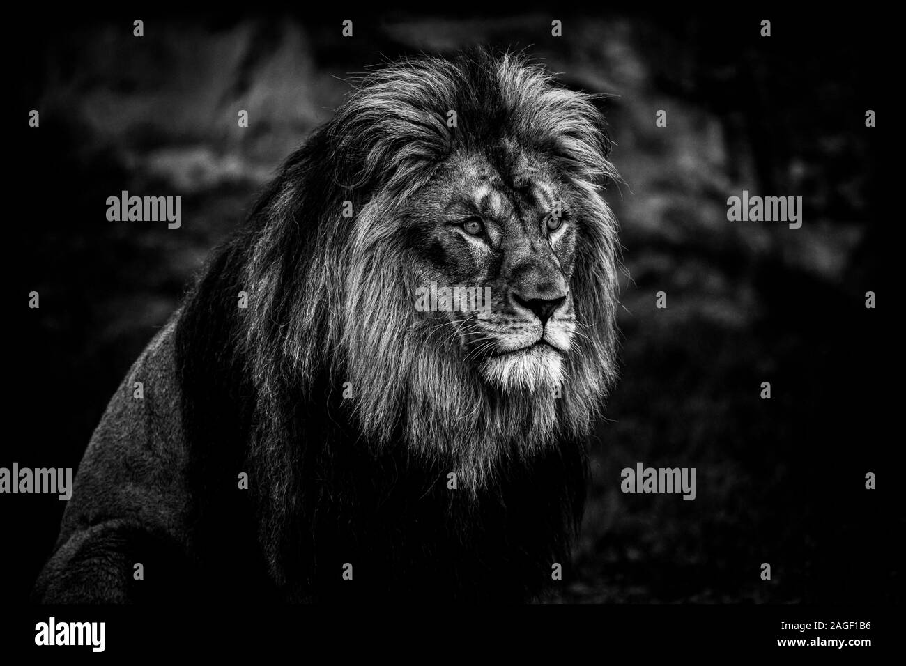 Kenya power Black and White Stock Photos & Images - Alamy