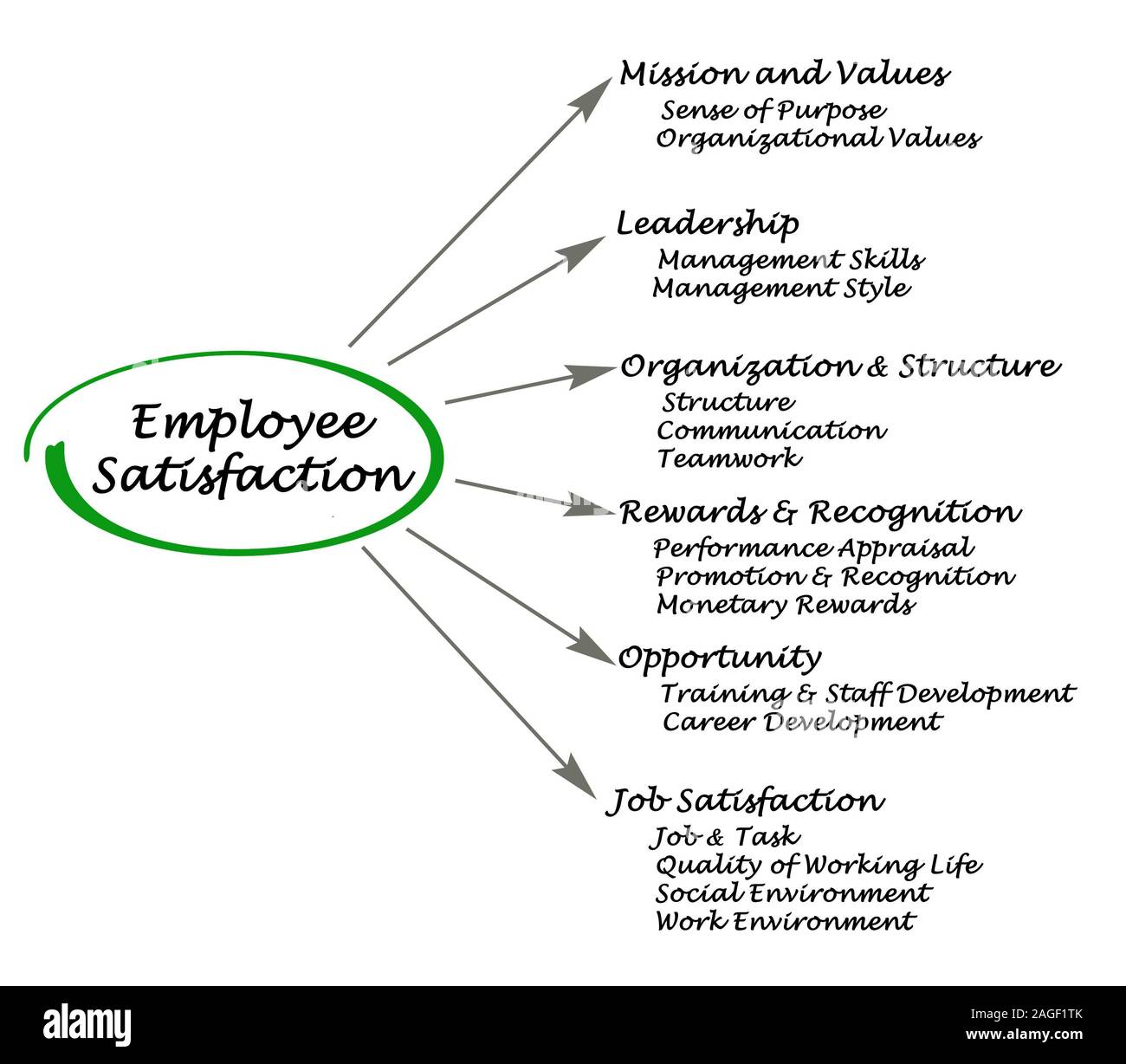 Employee satisfaction hi-res stock photography and images - Alamy