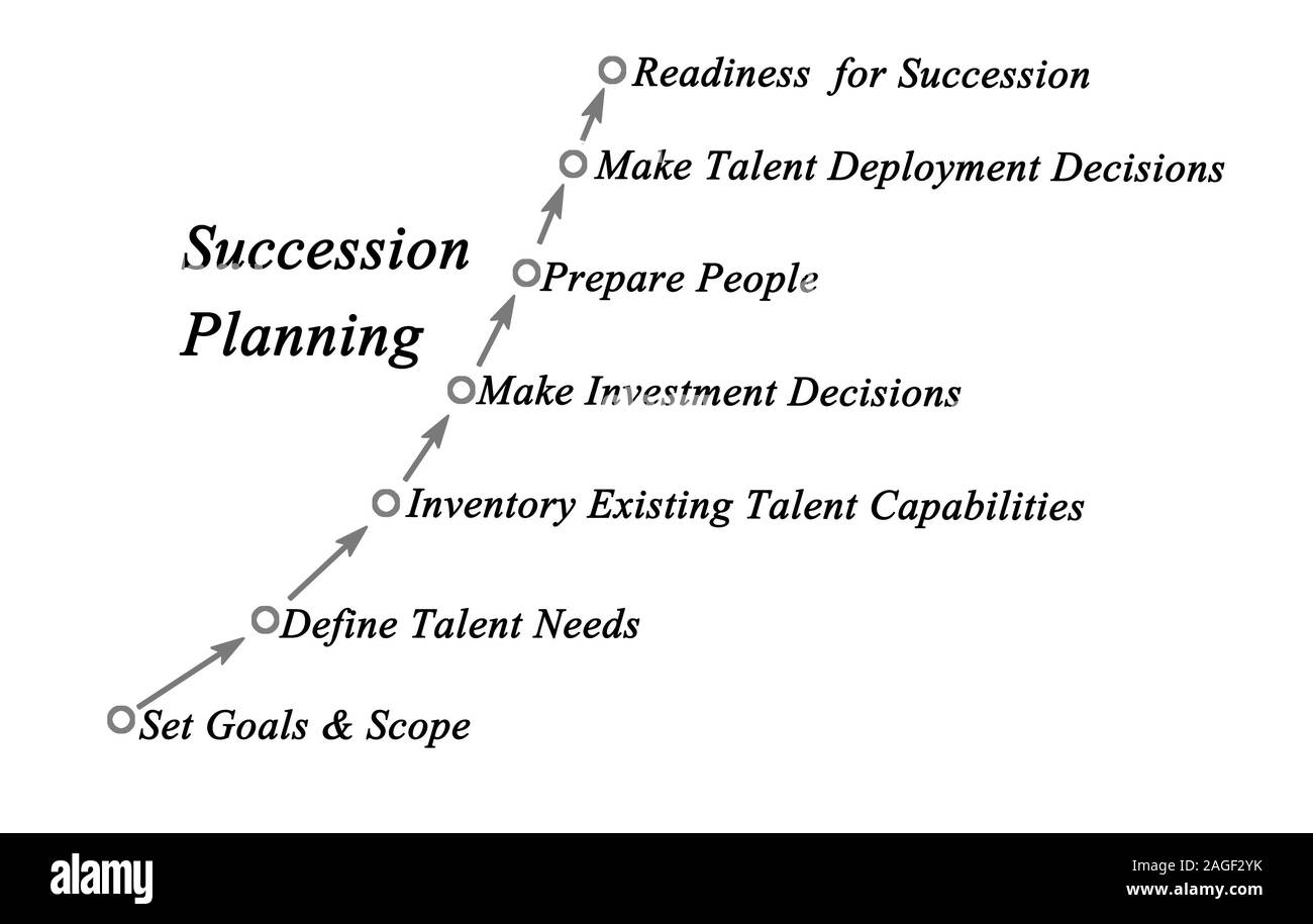Succession Planning & Management Process Stock Photo - Alamy