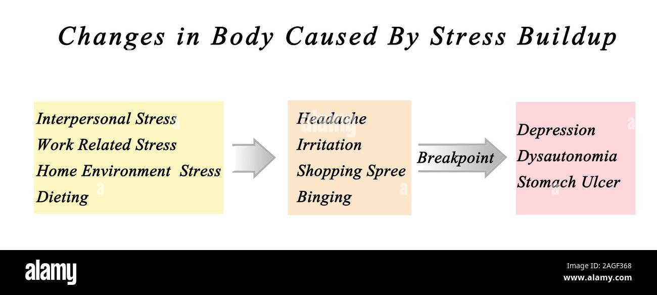 Changes in Body Caused By Stress Buildup Stock Photo - Alamy