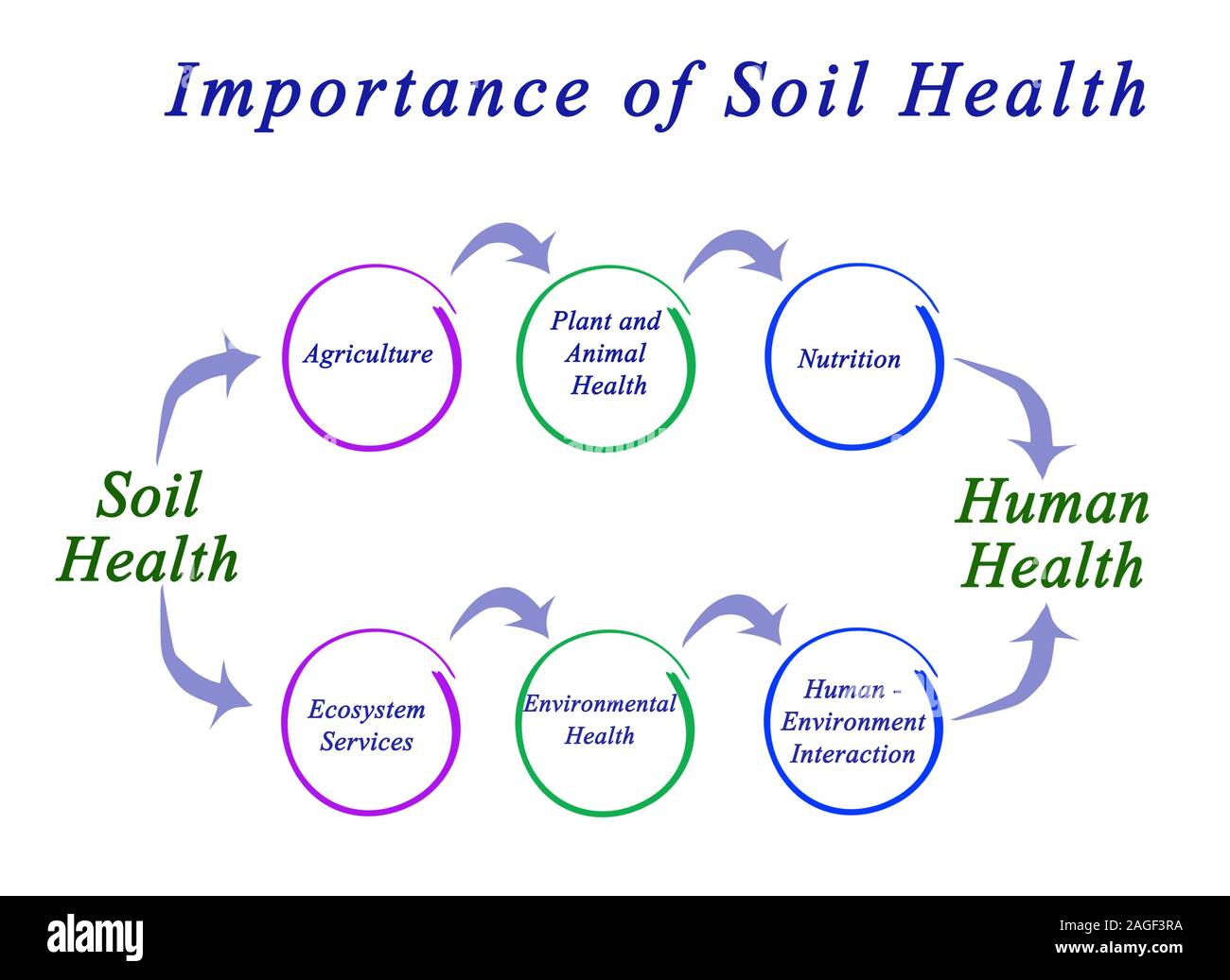 Soil interaction Cut Out Stock Images & Pictures - Alamy