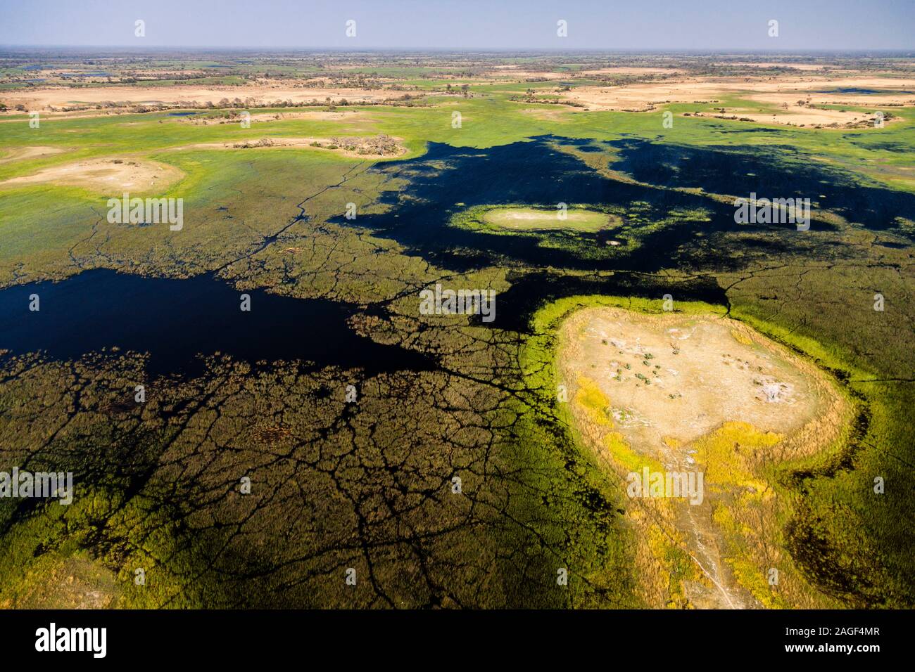 Green swamp and wetlands, grasslands, river, aerial view, Okavango ...