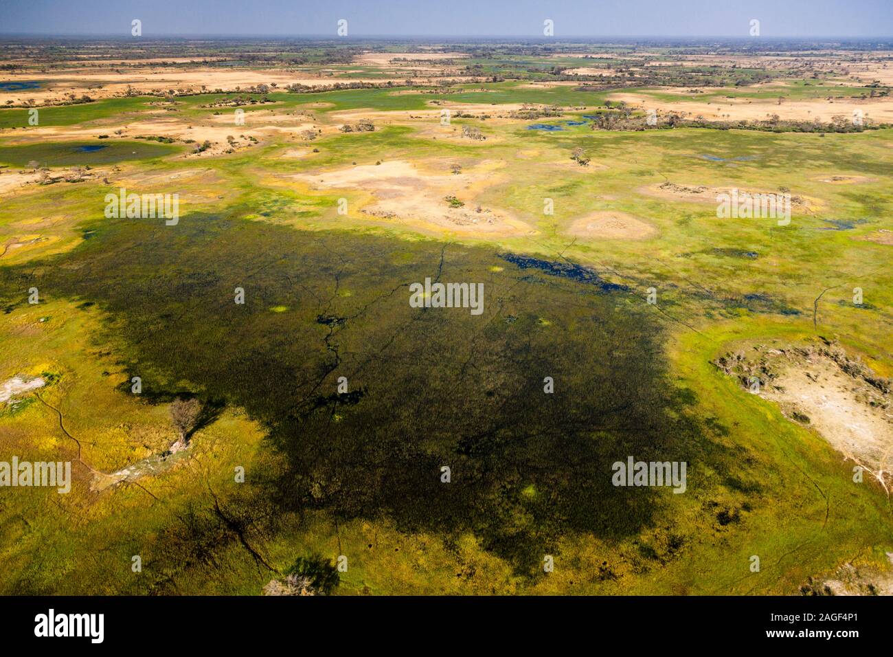 Green swamp and wetlands, grasslands, river, aerial view, Okavango ...