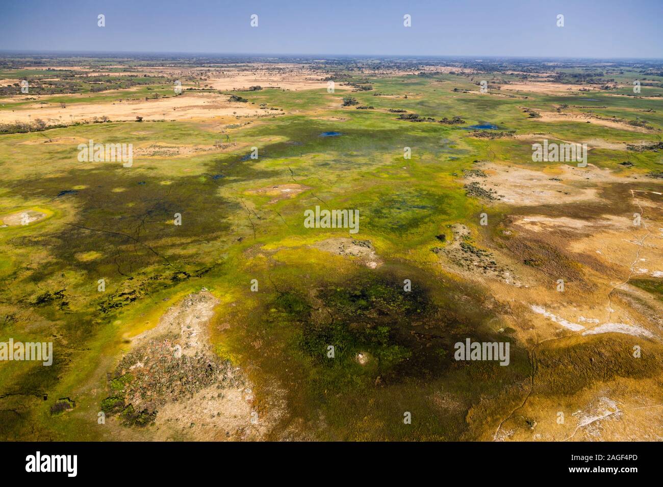 Green swamp and wetlands, grasslands, river, aerial view, Okavango ...
