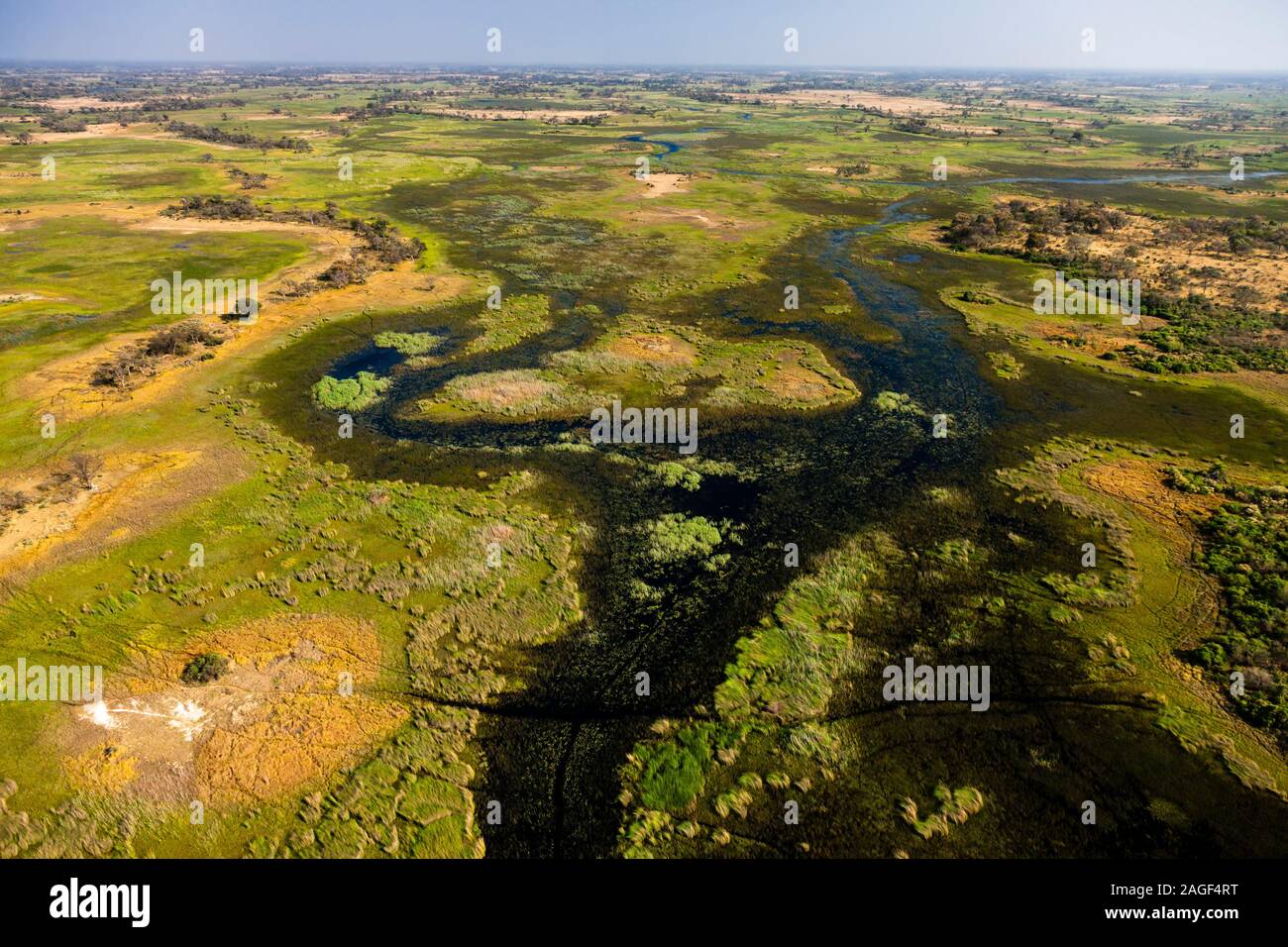 Okavango river and swamp, wetlands, grasslands, aerial view, Okavango ...