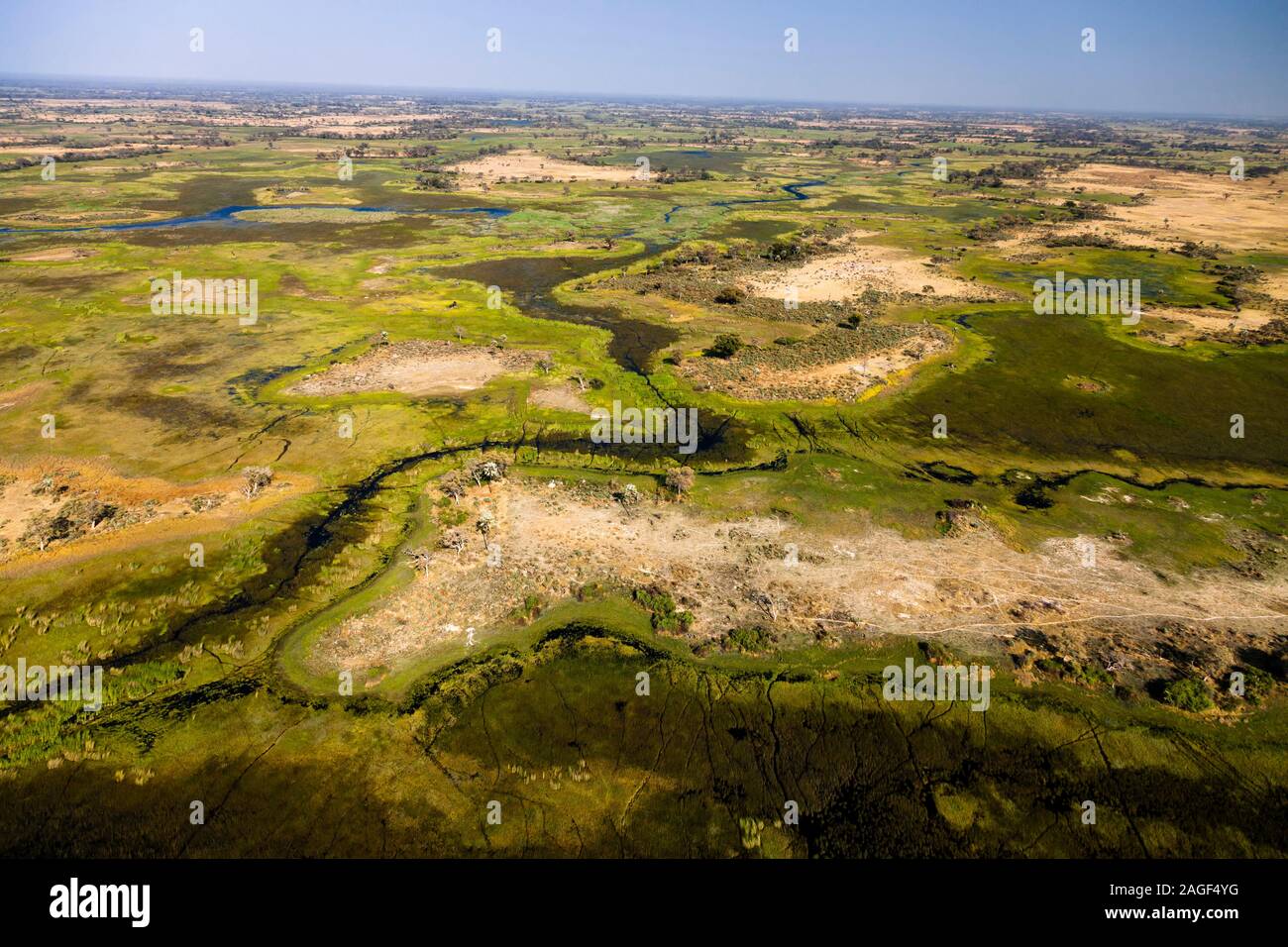 Okavango river and swamp, wetlands, grasslands, aerial view, Okavango ...