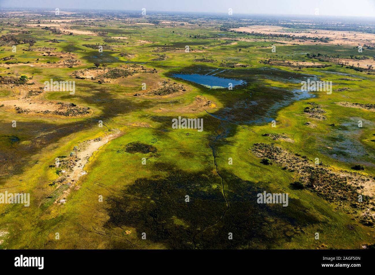 Green swamp and wetlands, grasslands, river, aerial view, Okavango ...