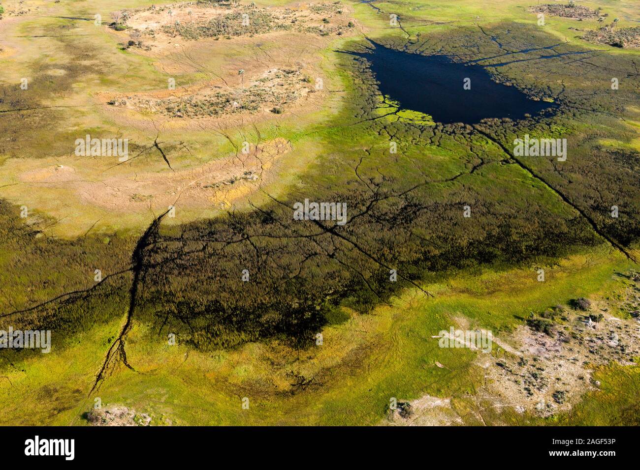 Green swamp and wetlands, grasslands, river, aerial view, Okavango ...