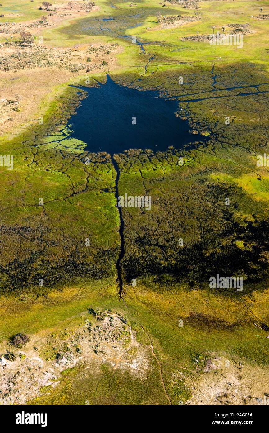 Green swamp and wetlands, grasslands, river, aerial view, Okavango ...