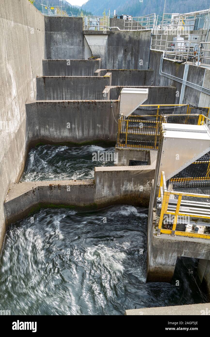 Fish ladder at bonneville dam columbia river hi-res stock photography ...