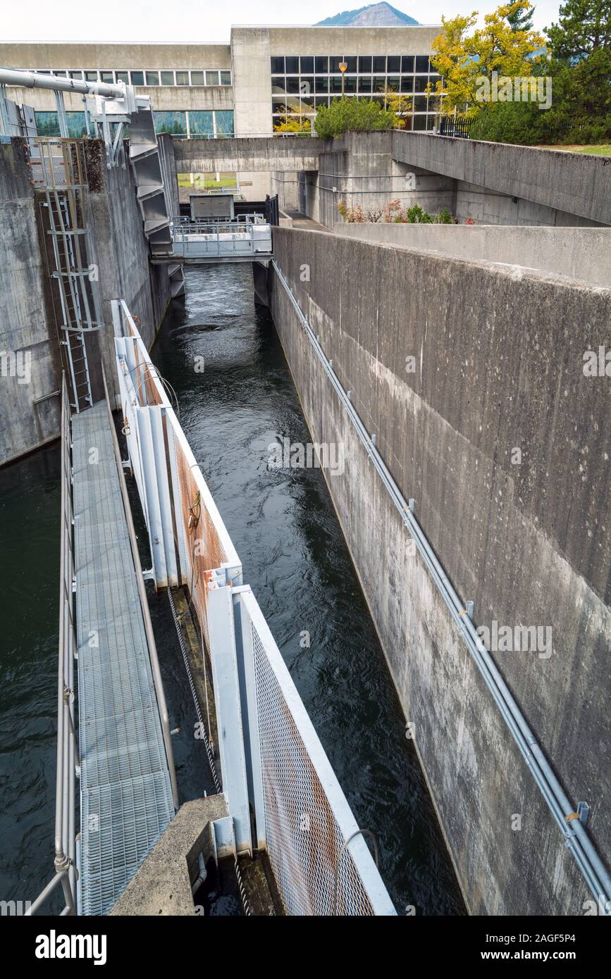 A Pedestrian Ramp Crosses the Fishway at the Bonneville Dam, Washington ...