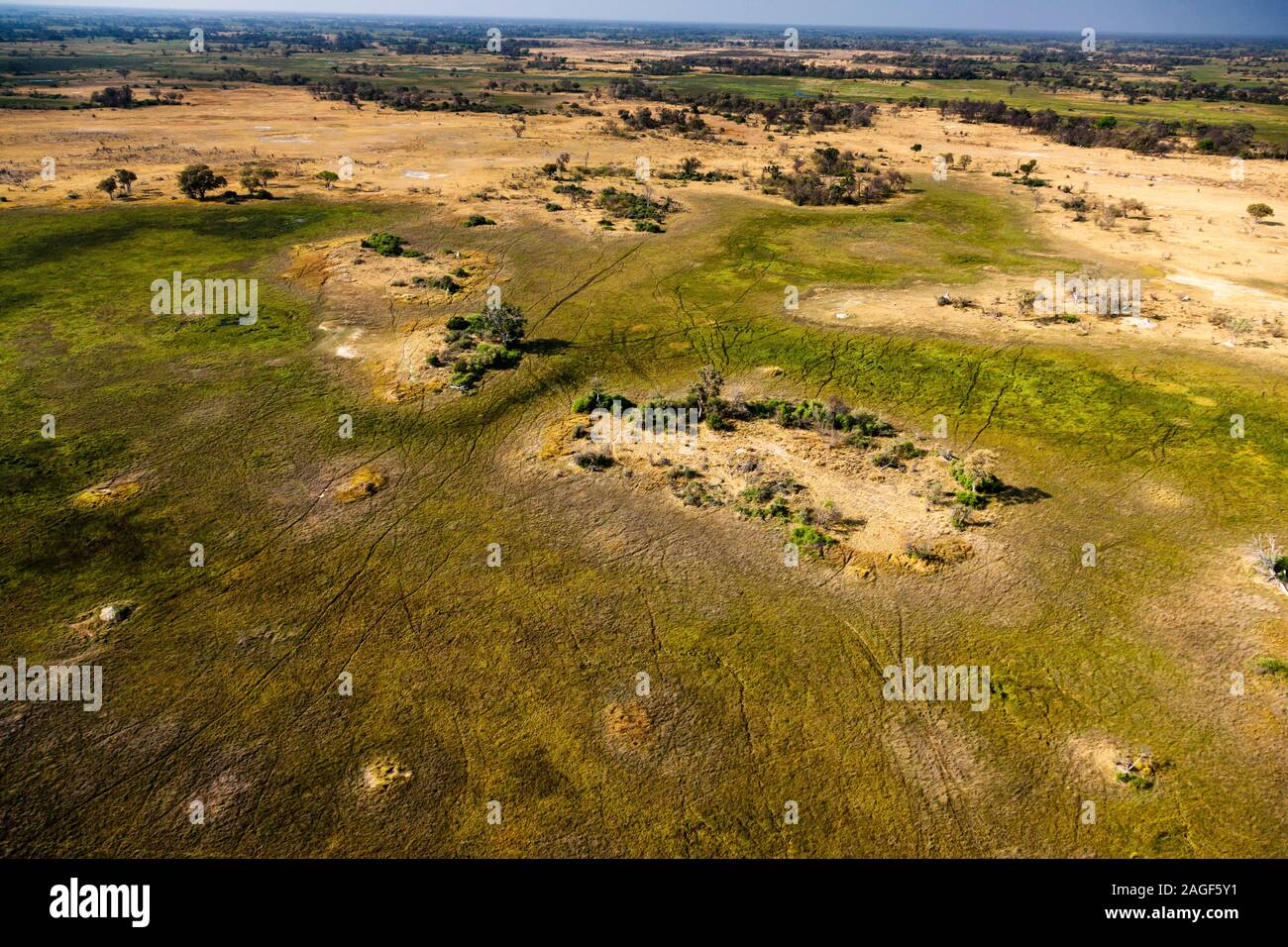 Green swamp and wetlands, grasslands, river, aerial view, Okavango ...