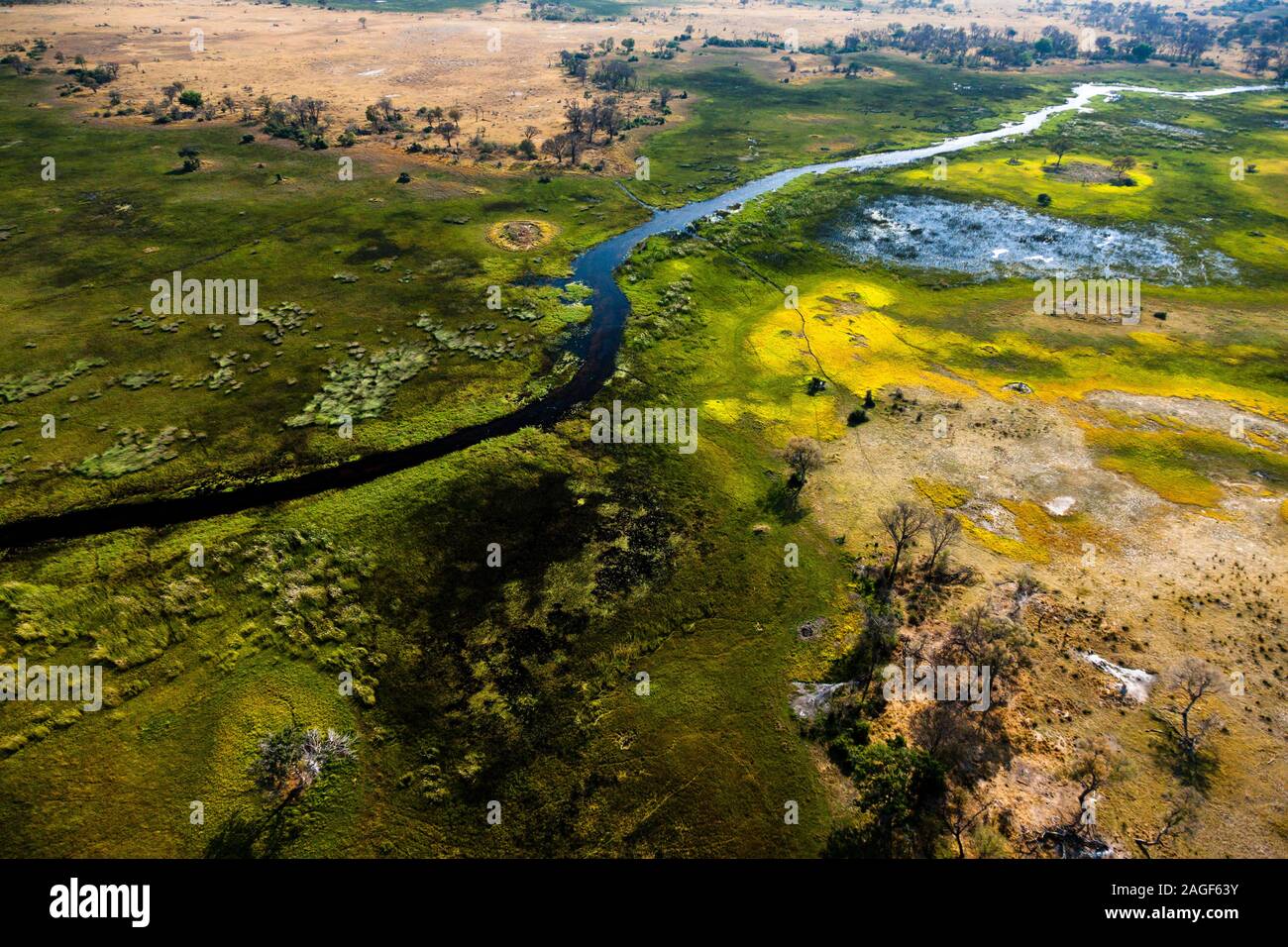 Okavango river in wetlands, grasslands, aerial view, Okavango delta, by helicopter, Botswana ...