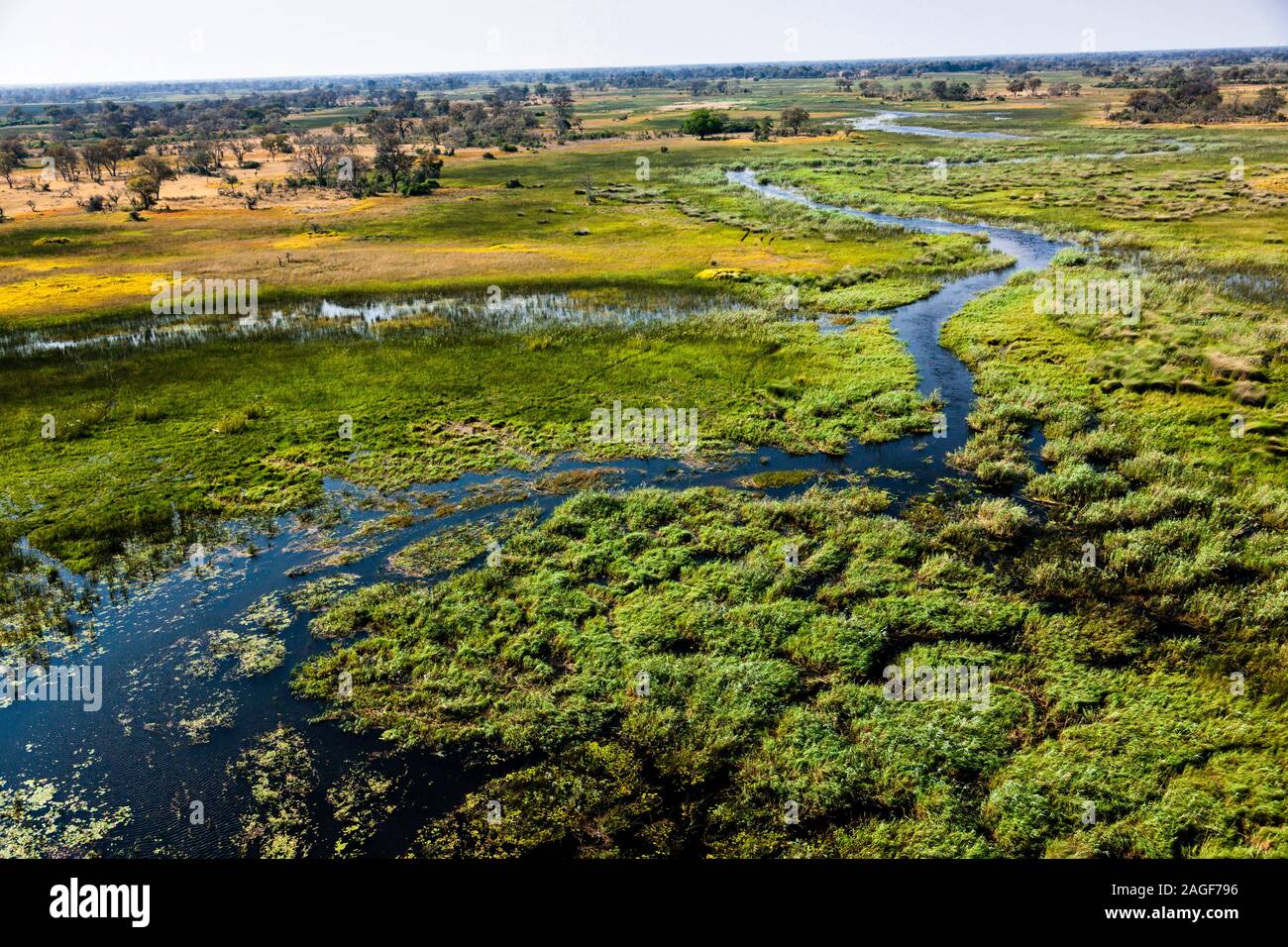 Green swamp and wetlands, grasslands, river, aerial view of Okavango ...