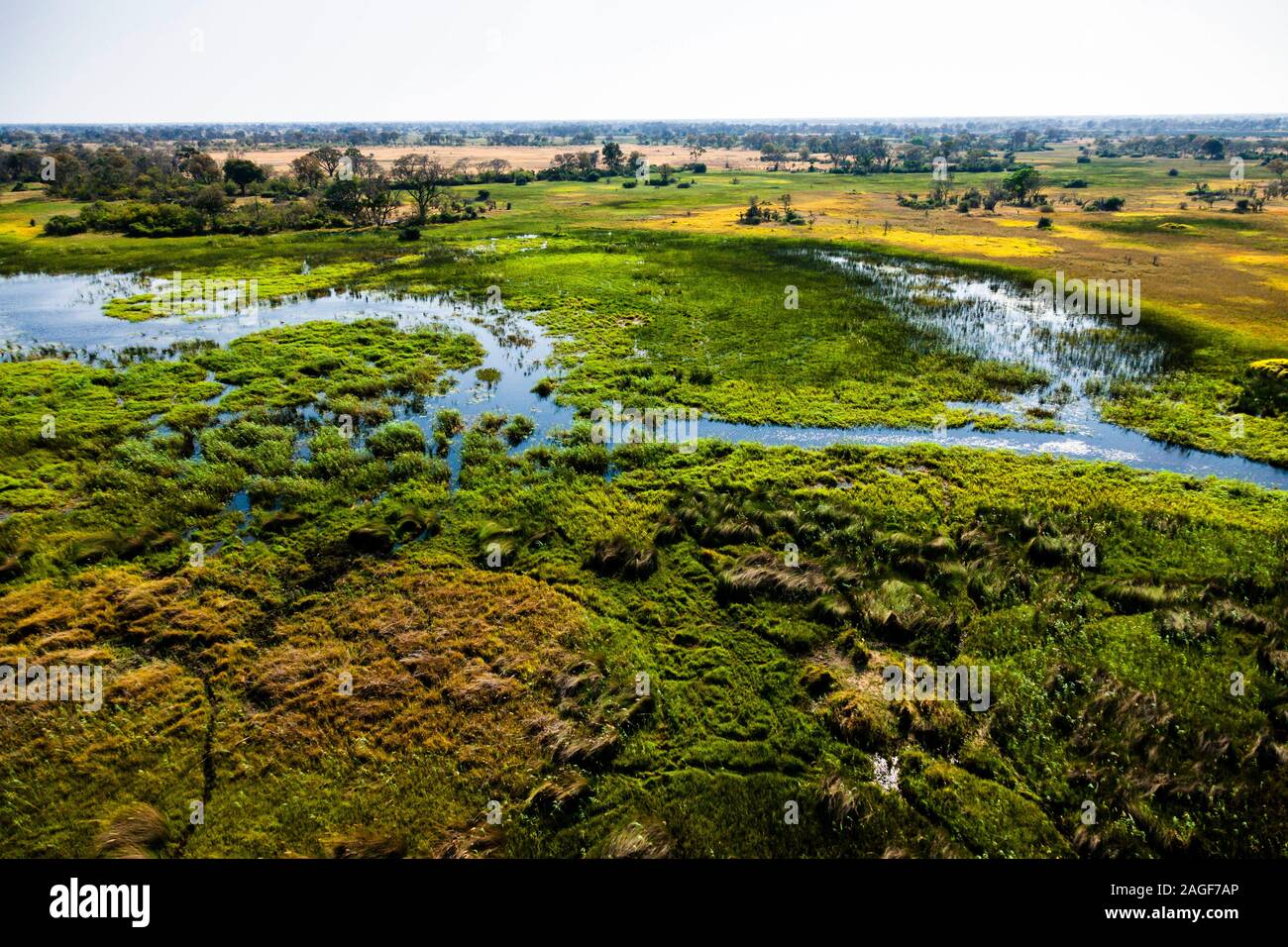 Green swamp and wetlands, grasslands, river, aerial view of Okavango ...