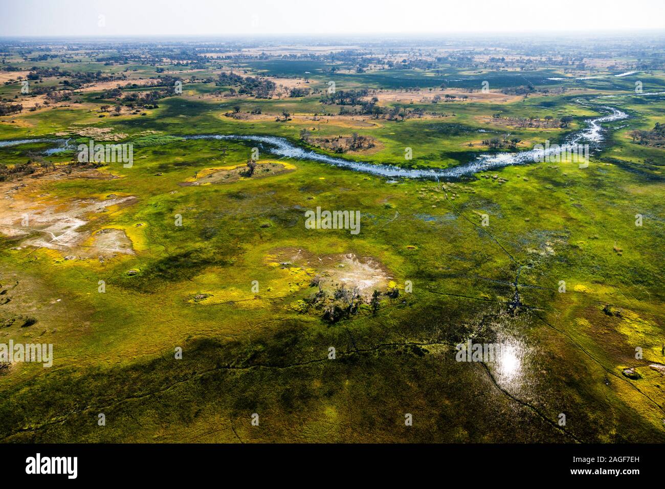 Green swamp and wetlands, grasslands, river, aerial view of Okavango ...