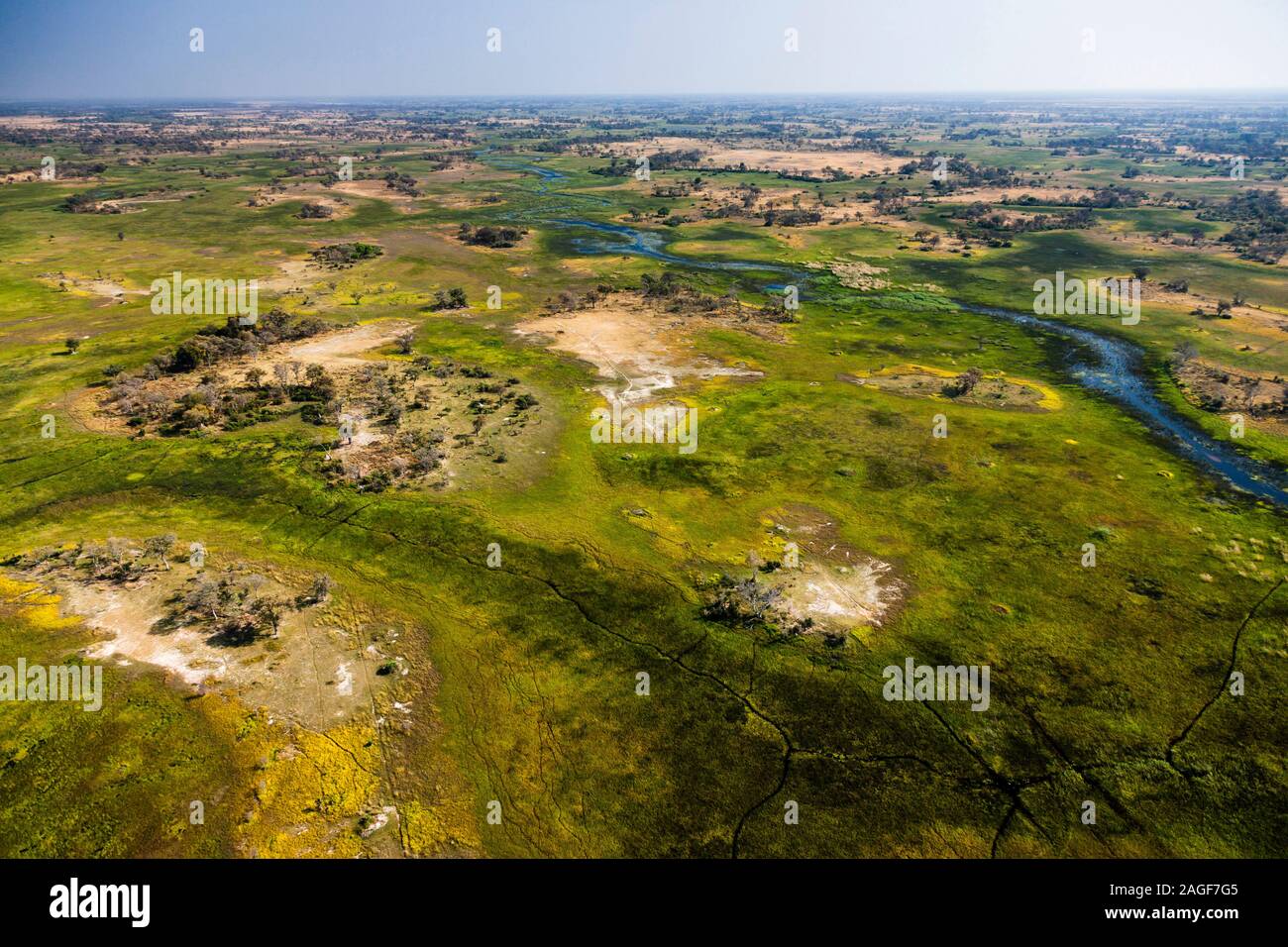 Green swamp and wetlands, grasslands, river, aerial view of Okavango ...
