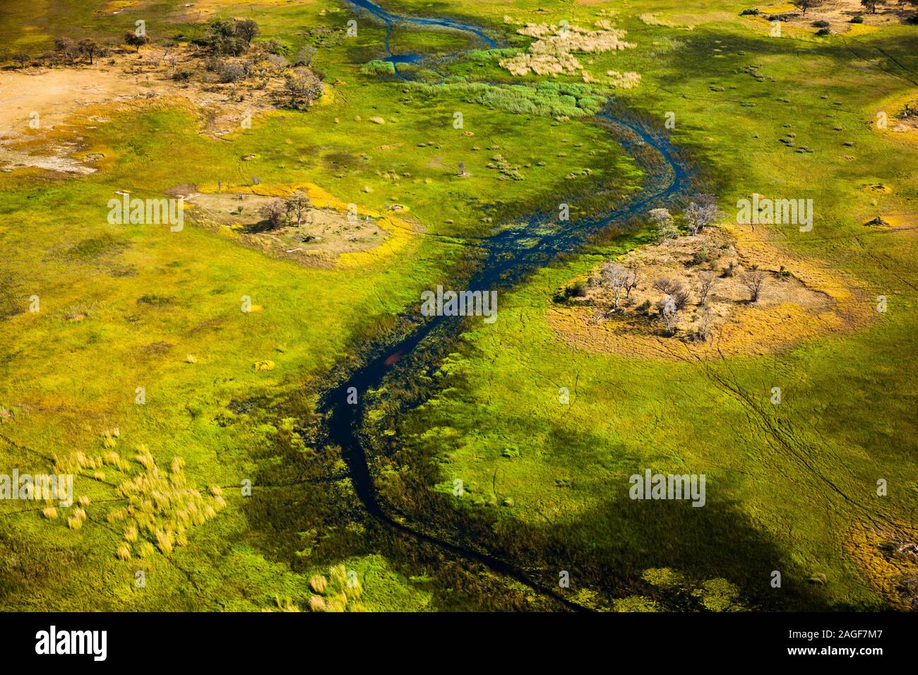 Green swamp and wetlands, grasslands, river, aerial view of Okavango ...