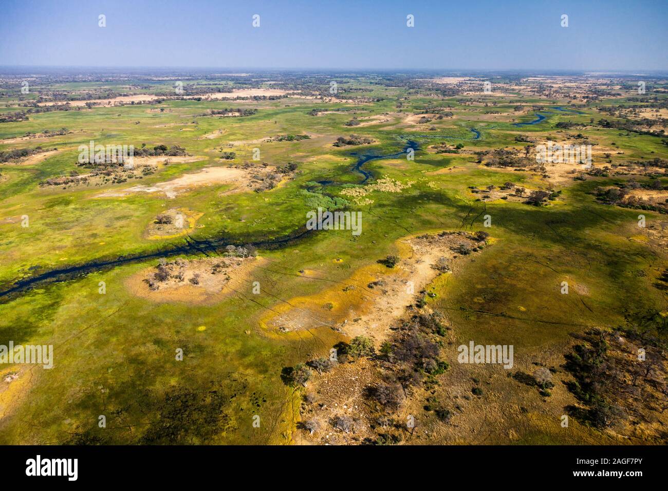 Green swamp and wetlands, grasslands, river, aerial view of Okavango ...