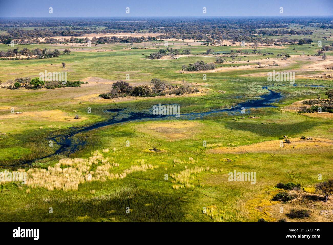 Green swamp and wetlands, grasslands, river, aerial view of Okavango ...