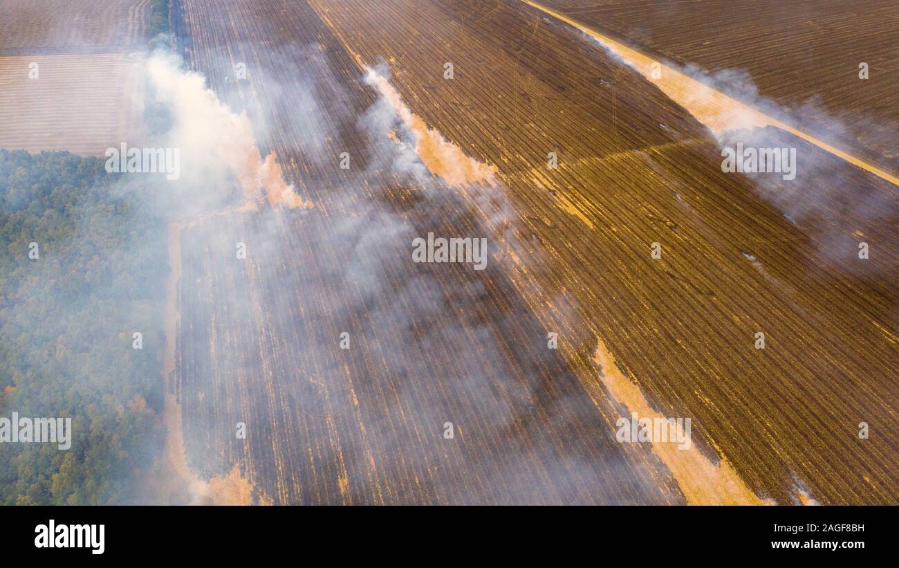 Carcinogens hi-res stock photography and images - Alamy