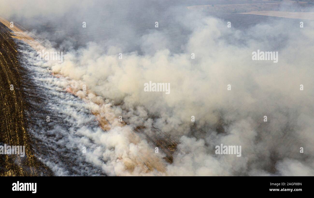 Farmers burn organic waste in the fields, destroying soils and damaging ...