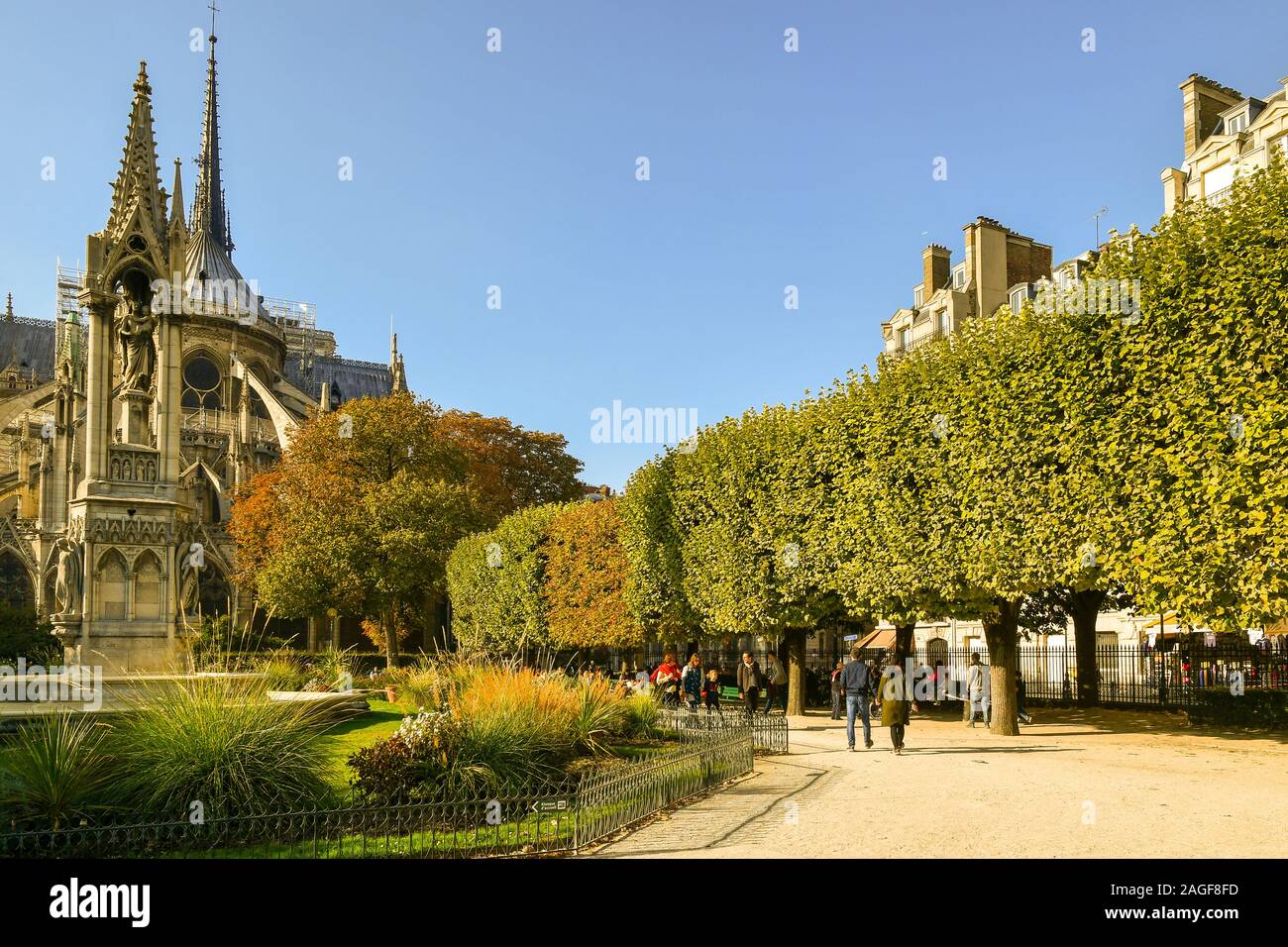 View of John XXIII Garden on the back of the Cathedral of Notre Dame ...