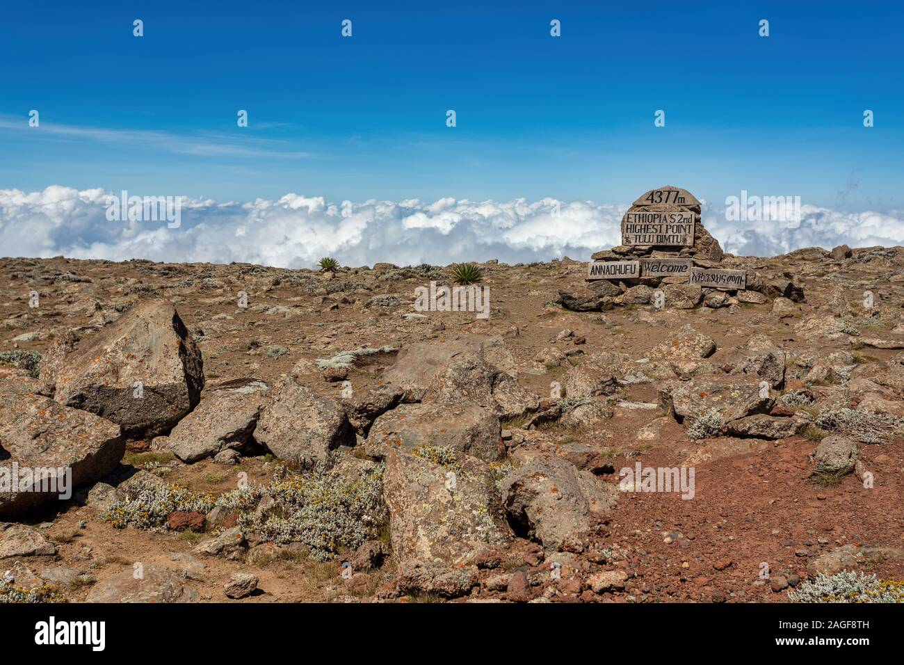 The highest peak of Bale Mountain, signpost tulu dimtu on the Sanetti ...