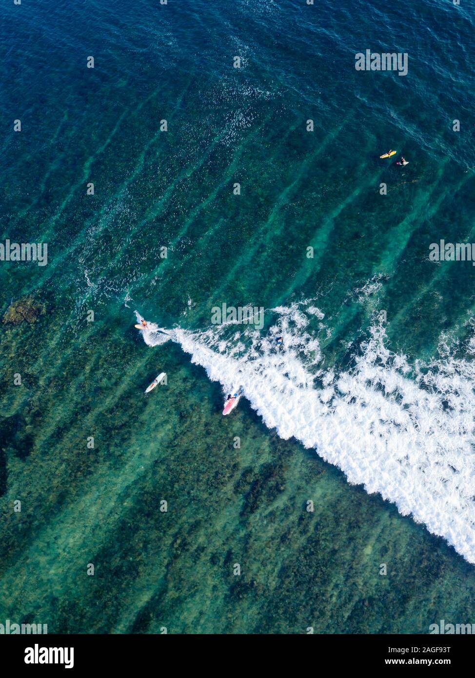 Aerial view of surfers in the ocean Stock Photo - Alamy