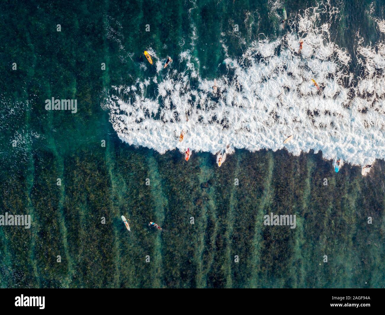 Aerial view of surfers in the ocean Stock Photo - Alamy