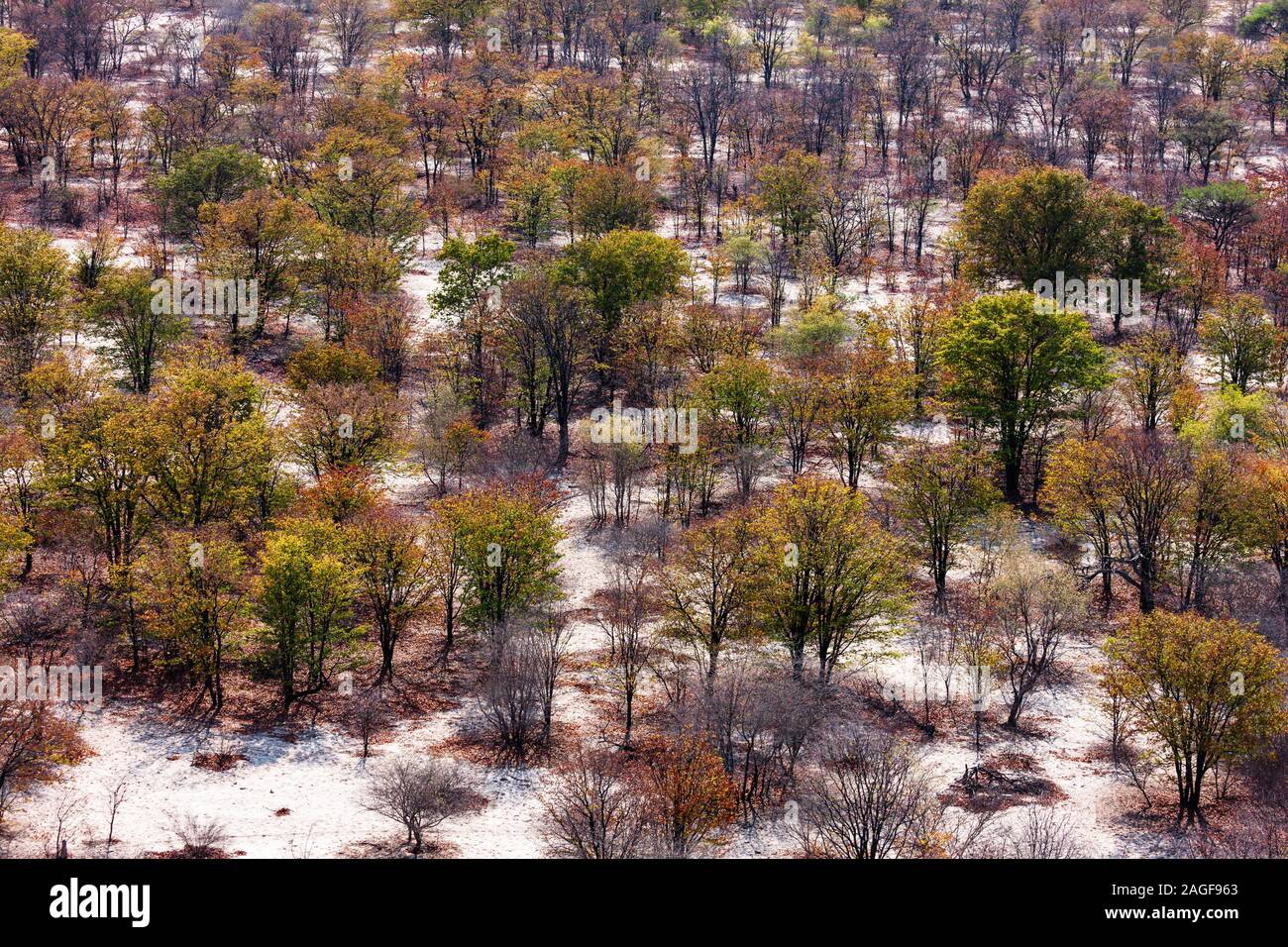 Bush and desert area near Maun, Aerial view of Okavango delta, by ...