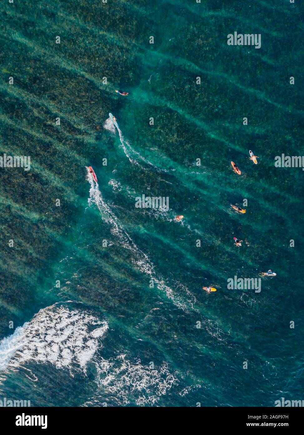 Aerial view of surfers in the ocean Stock Photo - Alamy