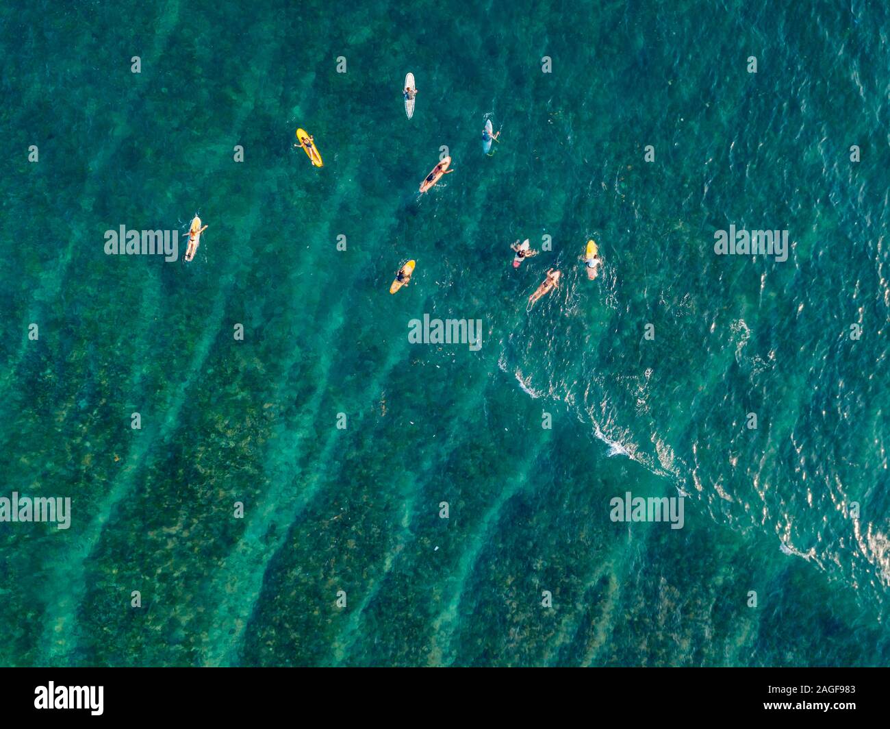 Aerial view of surfers in the ocean Stock Photo - Alamy