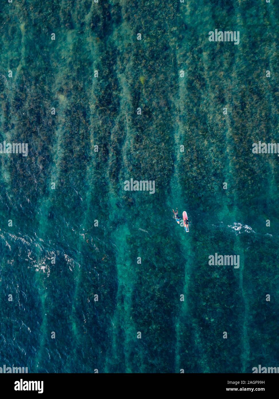 Aerial view of surfers in the ocean Stock Photo - Alamy