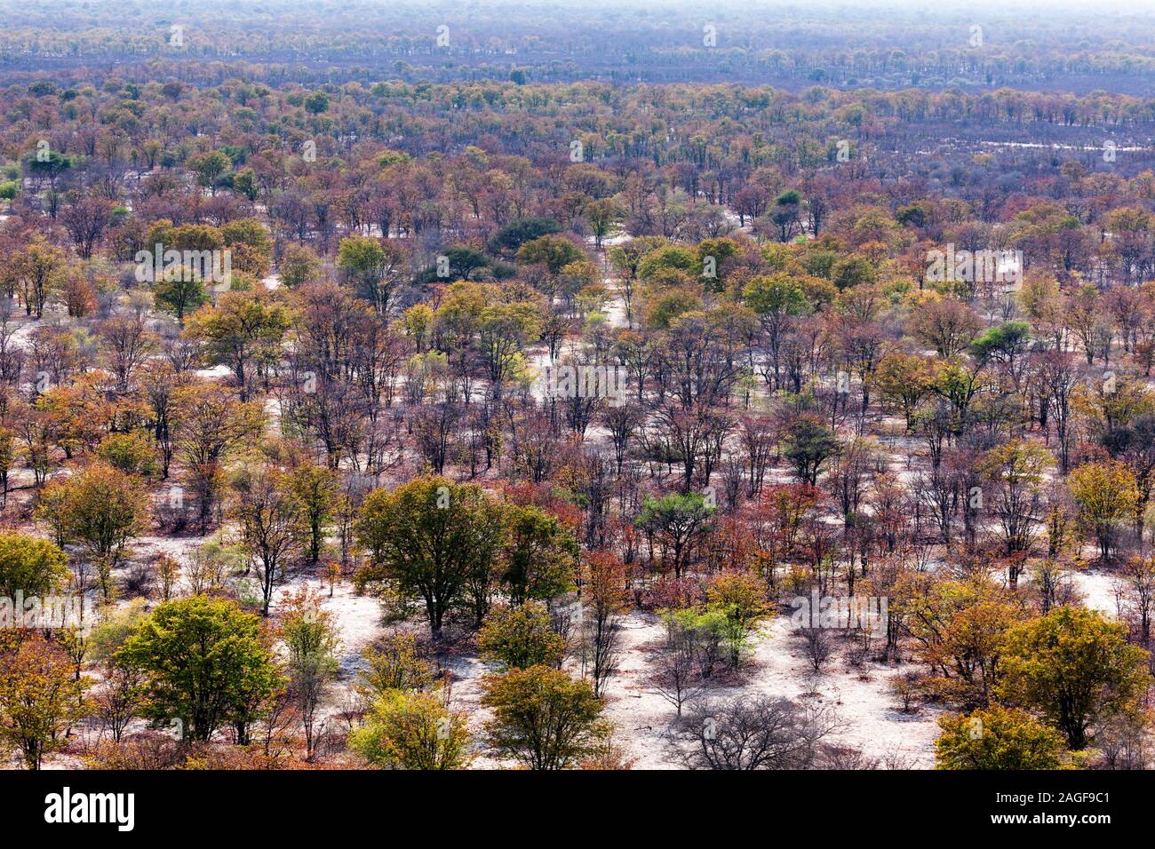 Bush and desert area near Maun, Aerial view of Okavango delta, by ...
