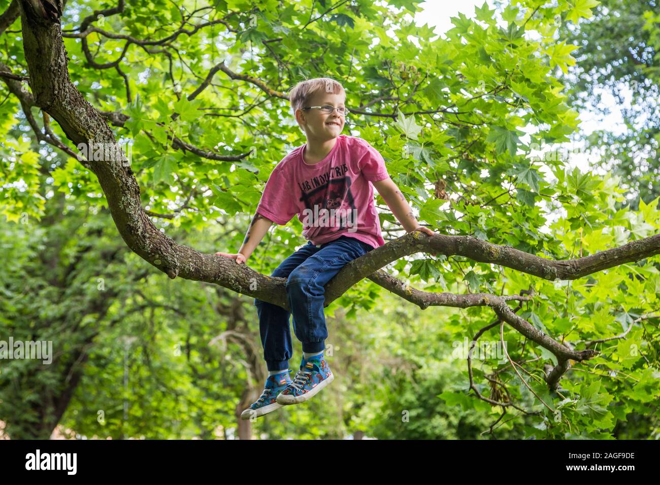Boy hanging from a tree hi-res stock photography and images - Alamy