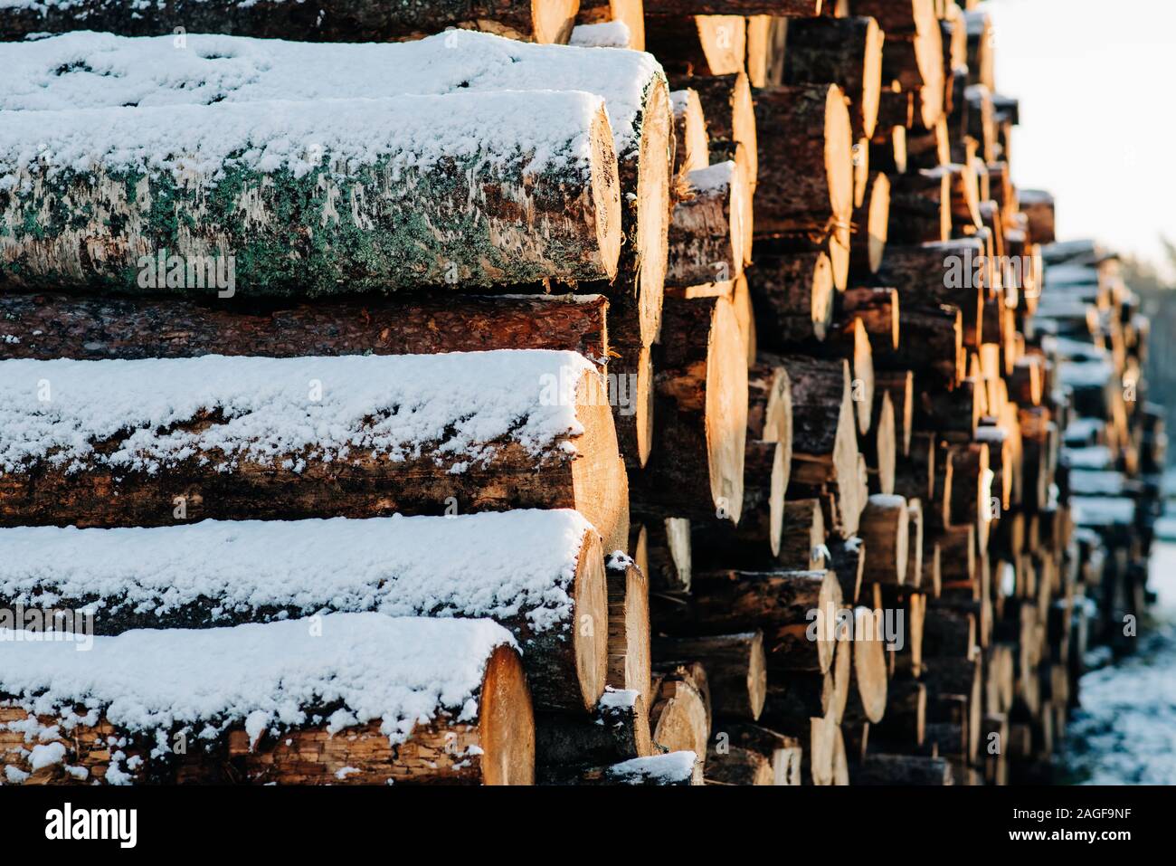 Snow covered log pile hi-res stock photography and images - Alamy