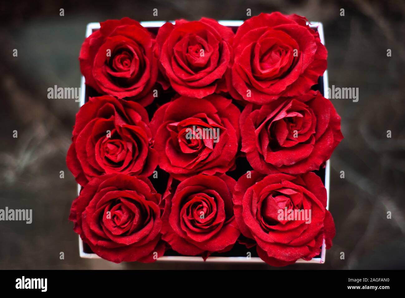 Nine red roses in a box Stock Photo - Alamy