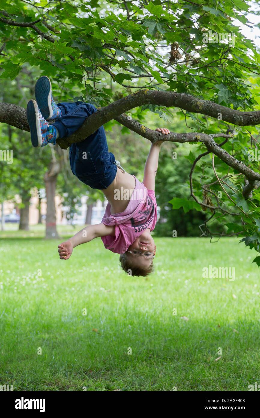 Young cute kids hanging from a tree in the summer Stock Photo - Alamy