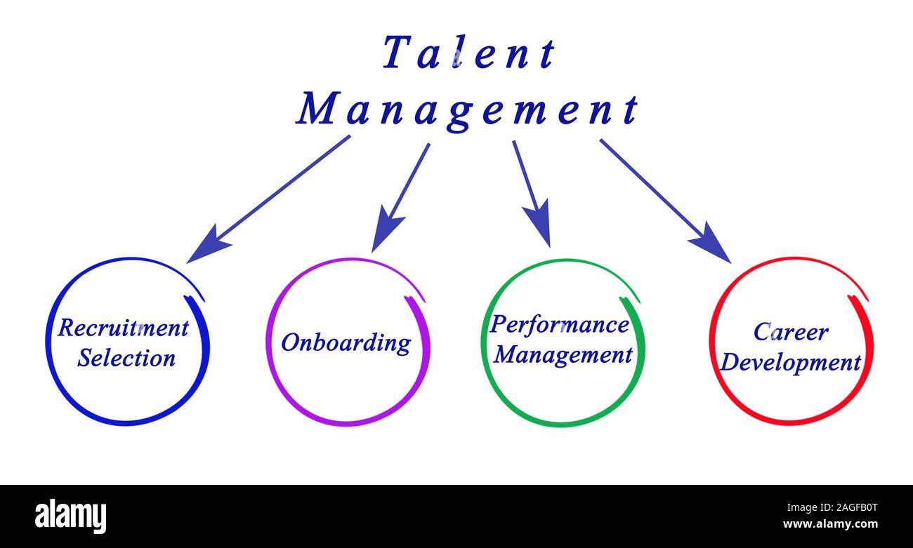Diagram of Talent Management Stock Photo - Alamy