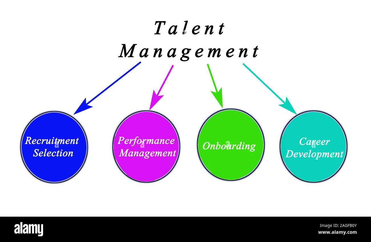 Diagram of Talent Management Stock Photo - Alamy