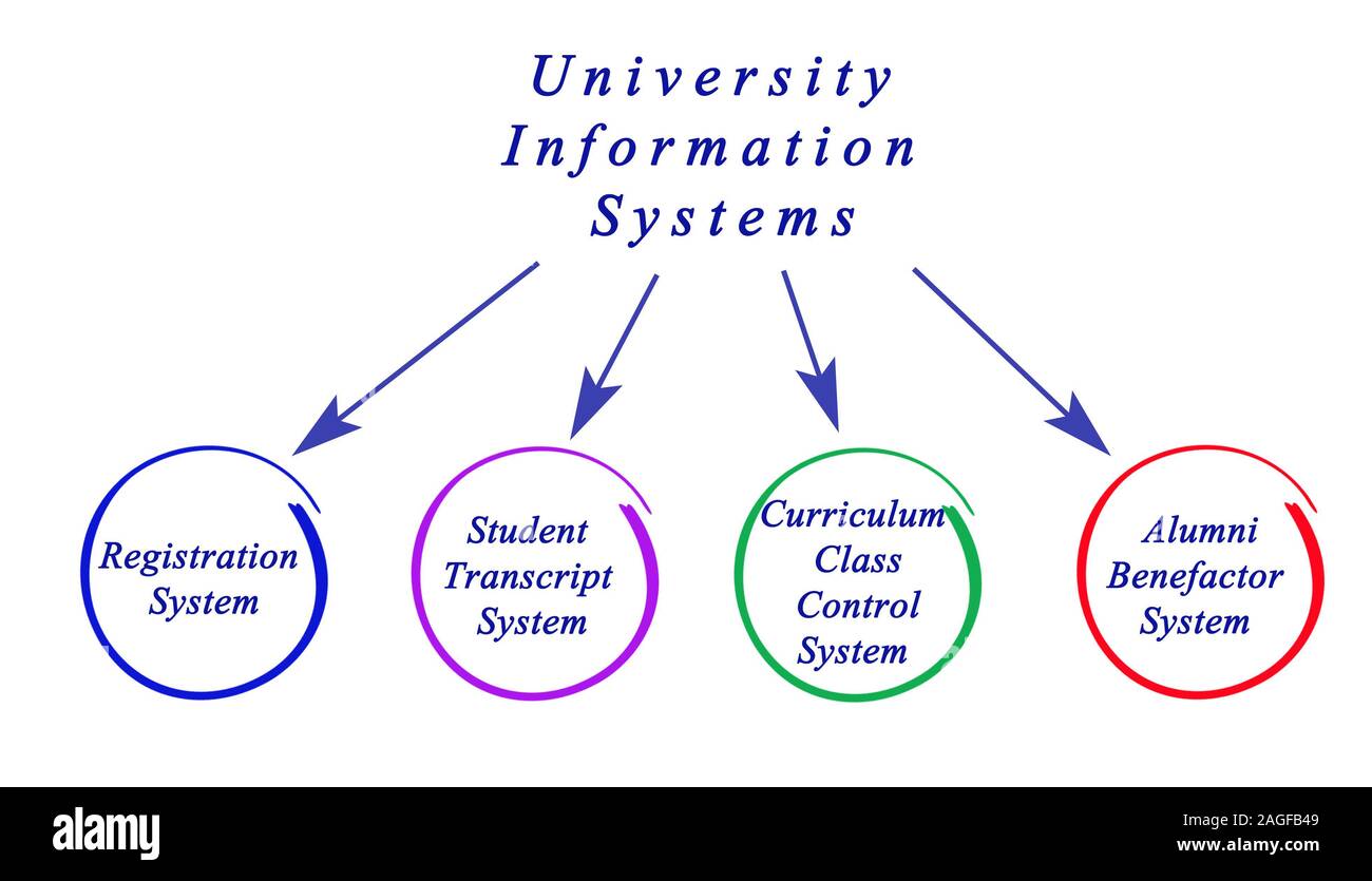 Diagram of University Information system Stock Photo - Alamy