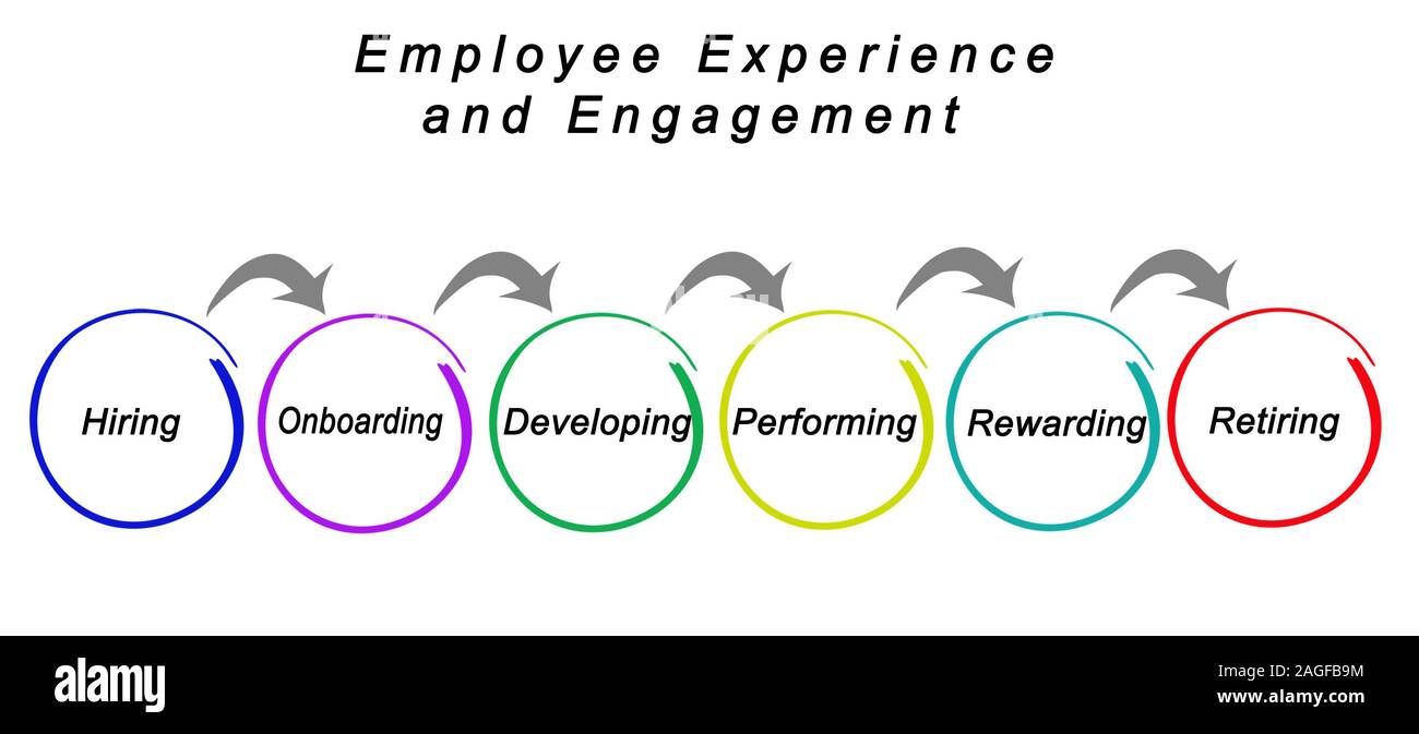 Employee Experience and Engagement Stock Photo - Alamy