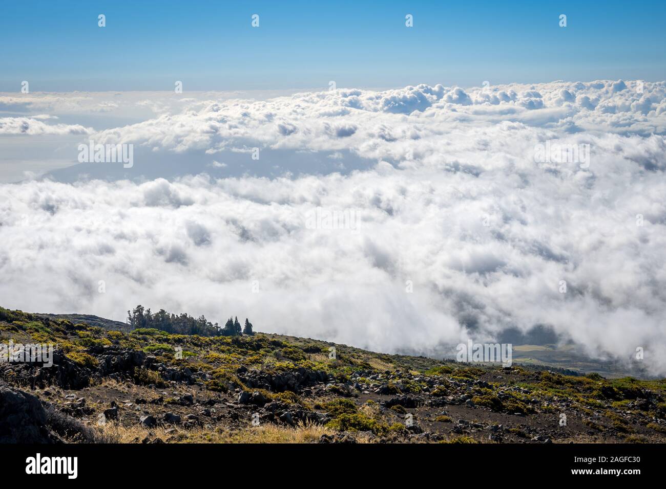 An overlooking view of nature in Maui, Hawaii Stock Photo - Alamy