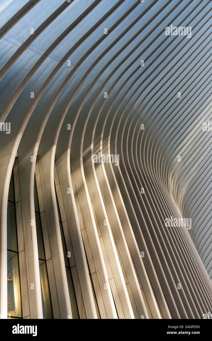 Ribs architecture hi-res stock photography and images - Alamy