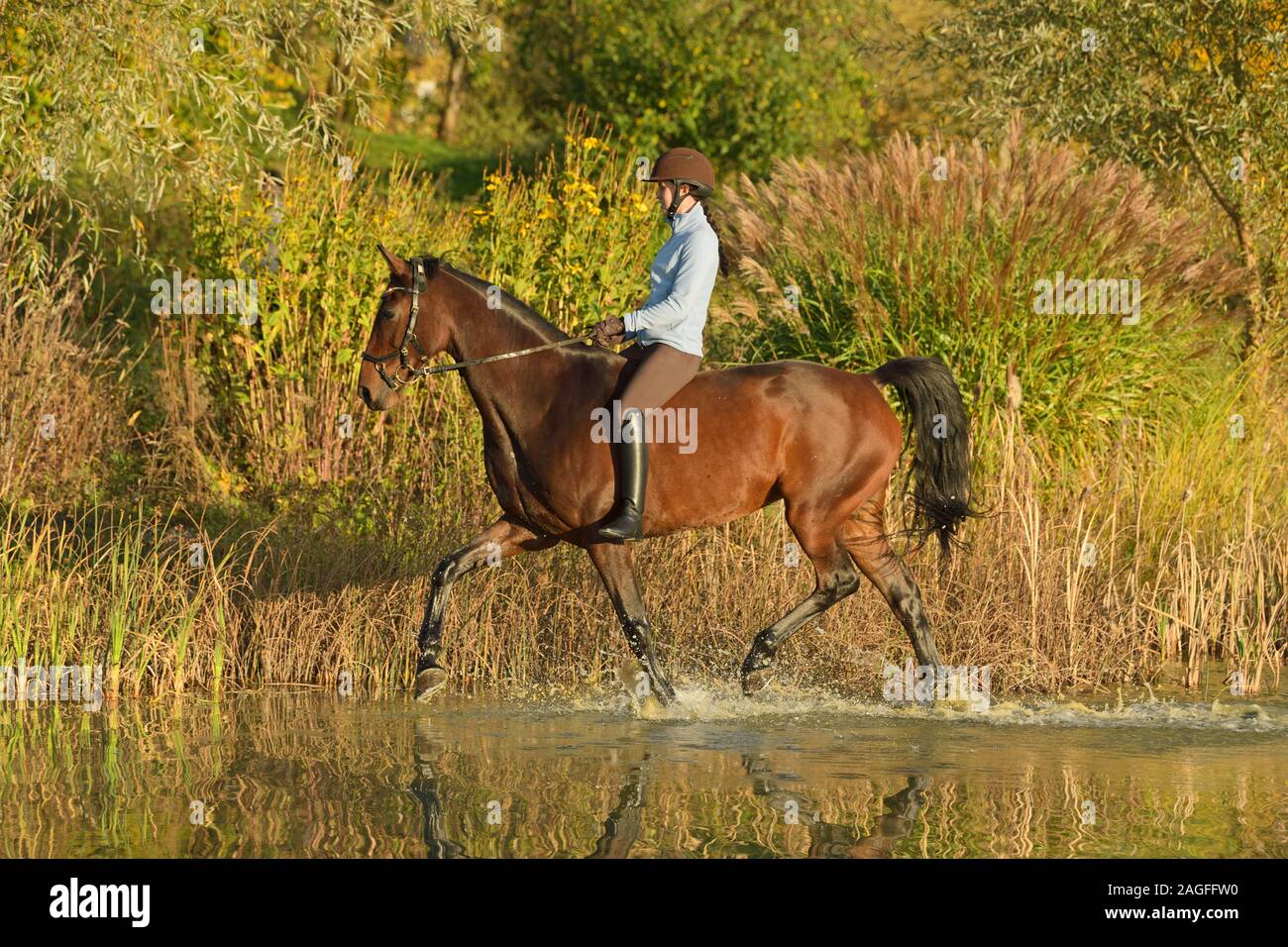 Woman riding horse bareback on hi-res stock photography and images - Alamy