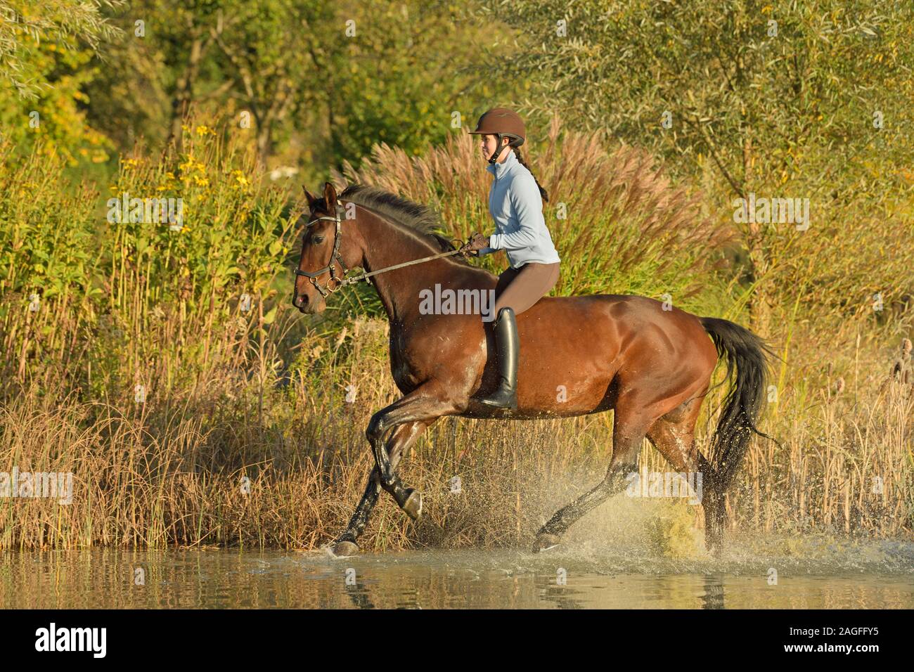 Woman Riding Bareback On Horse High Resolution Stock Photography and ...
