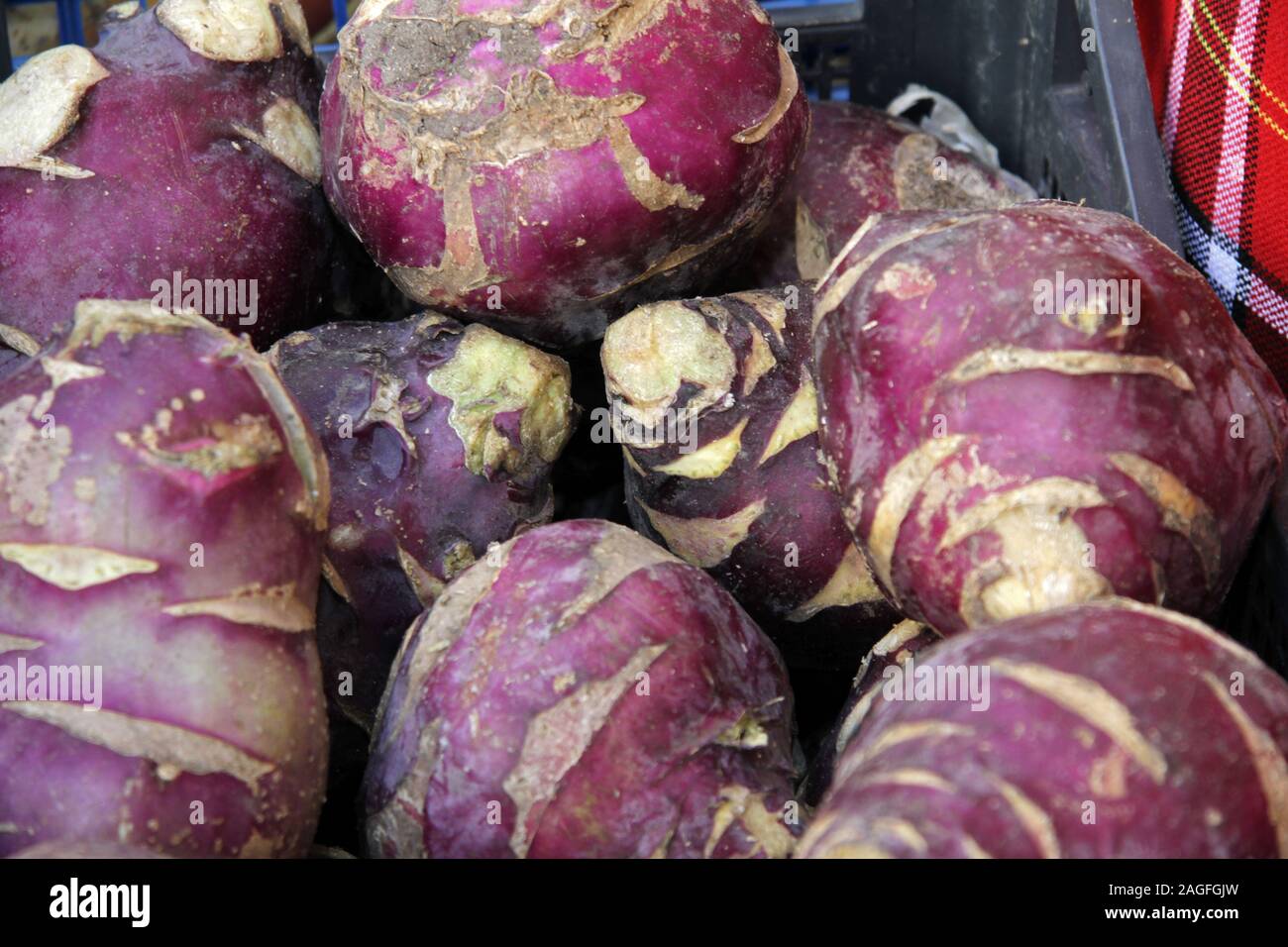 Purple root vegetable hi-res stock photography and images - Alamy